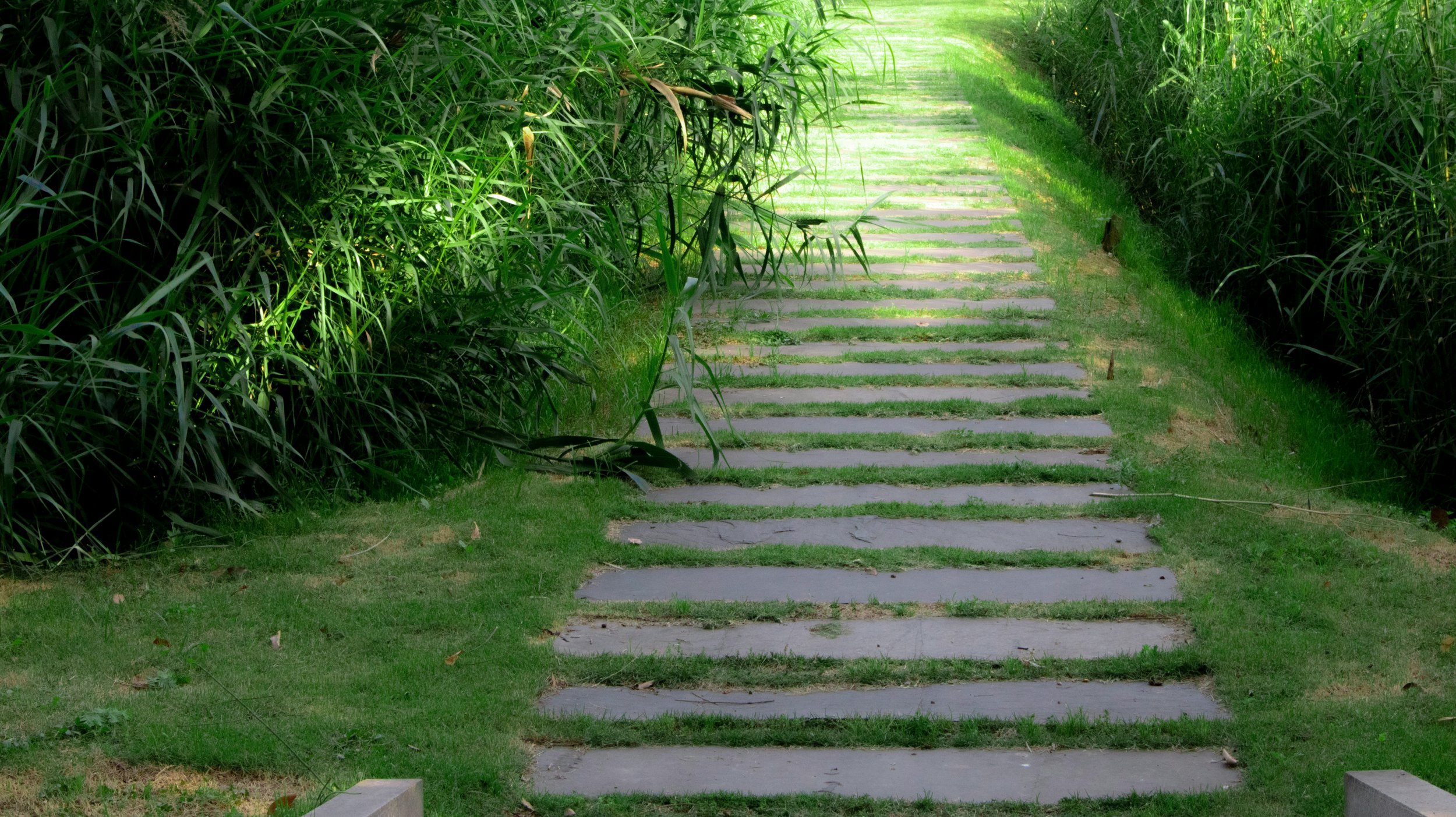 Addiction Treatment Programs Overview — NewLife