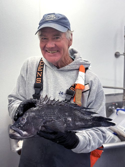 Sea Born Seafood | Fresh Local Caught Seafood