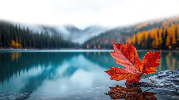 CANIBD - Canadian IBD Nurses