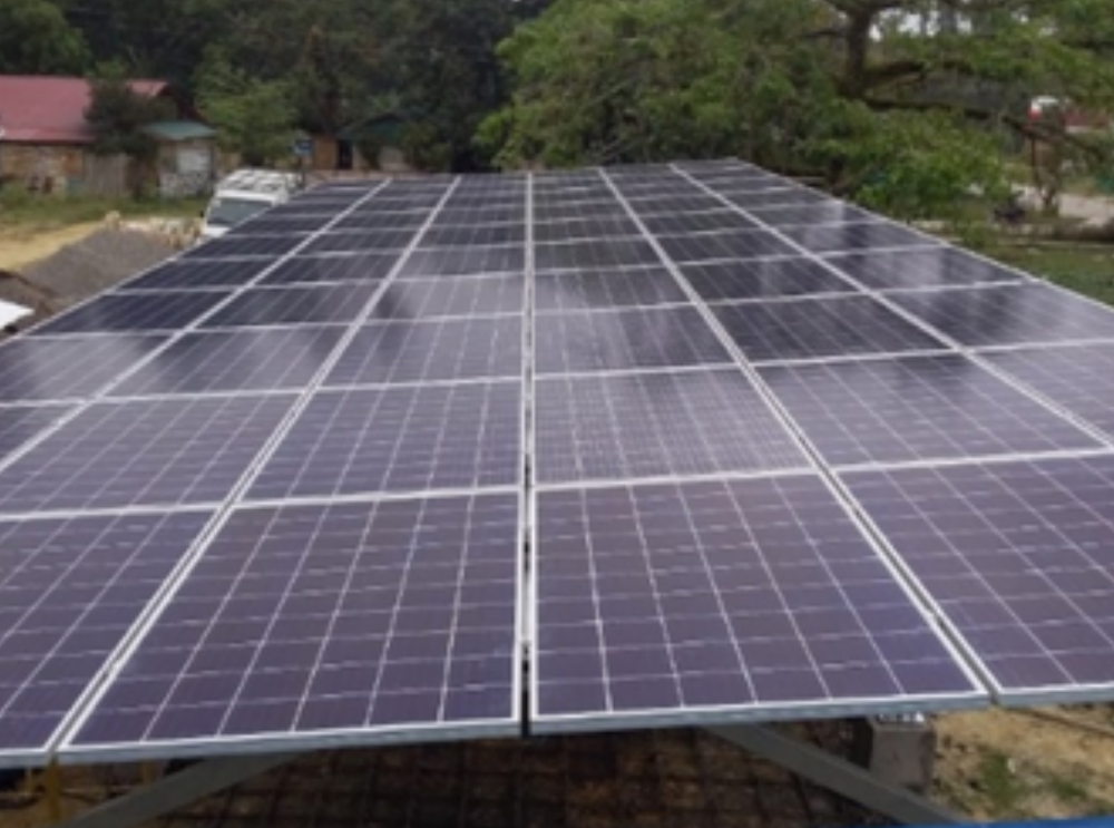 Local Government — EEI Power Corporation