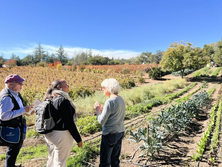 Relish Culinary Adventures | Relish Sonoma