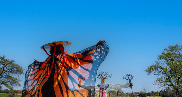 Mayday Festival