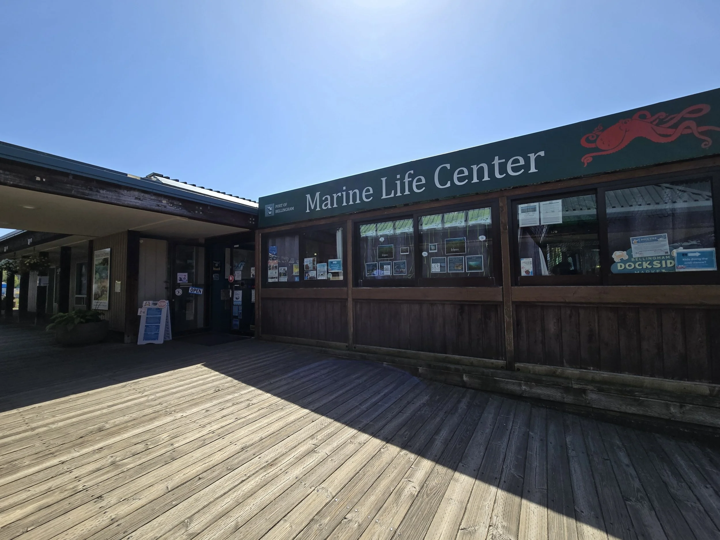 Marine Life Center in Bellingham: The Tiny Free Aquarium You Can Visit ...