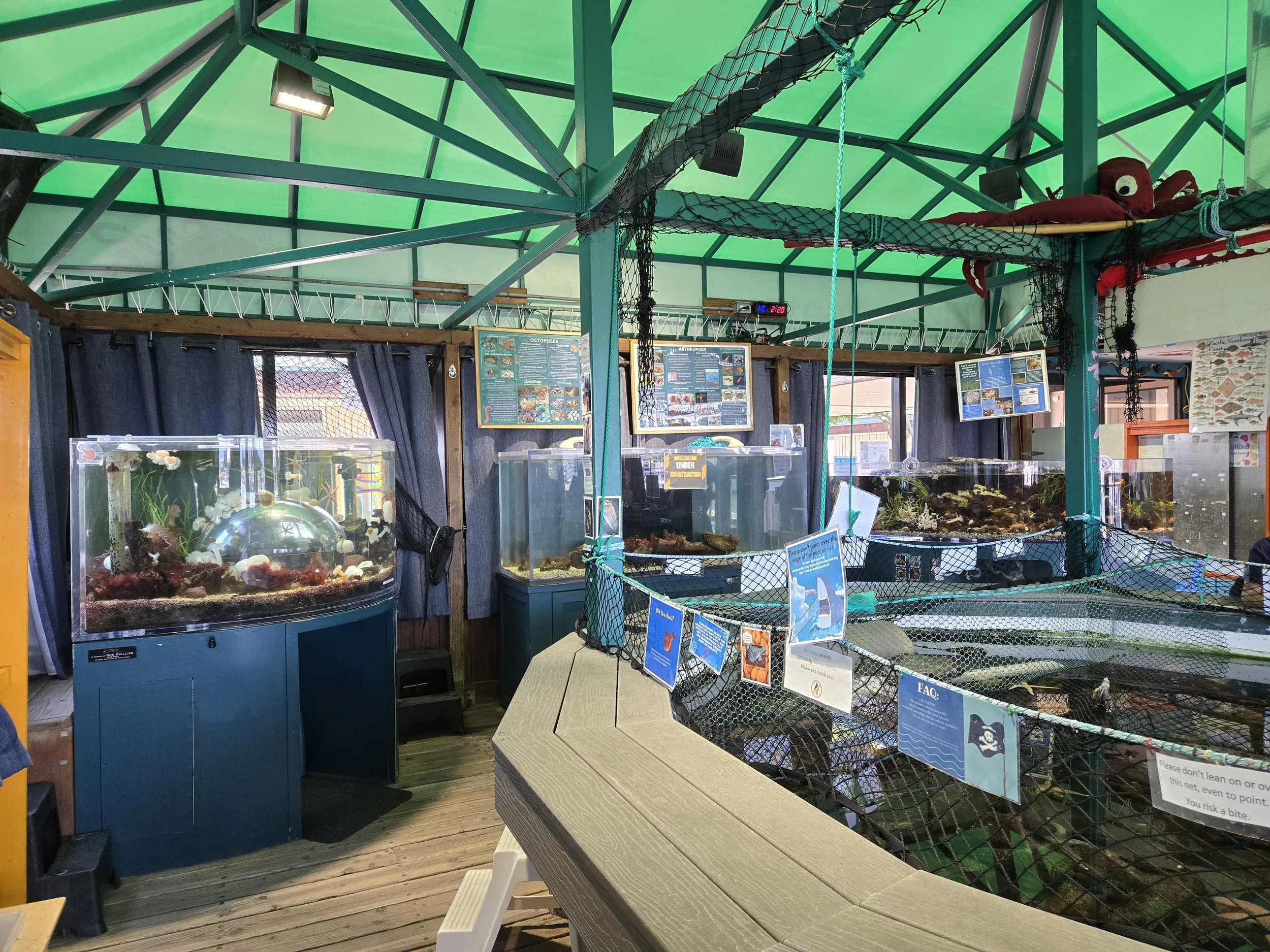 Marine Life Center in Bellingham: The Tiny Free Aquarium You Can Visit ...