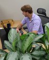 Altura - Coworking Bermuda