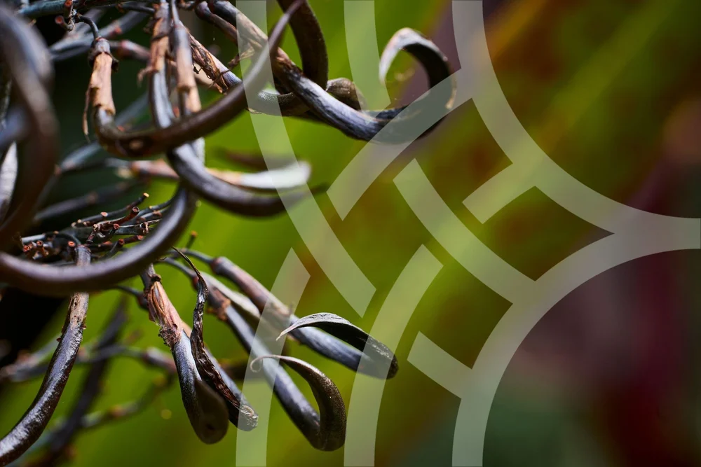 Environmental Consultants NZ | Projects & Work — The Catalyst Group