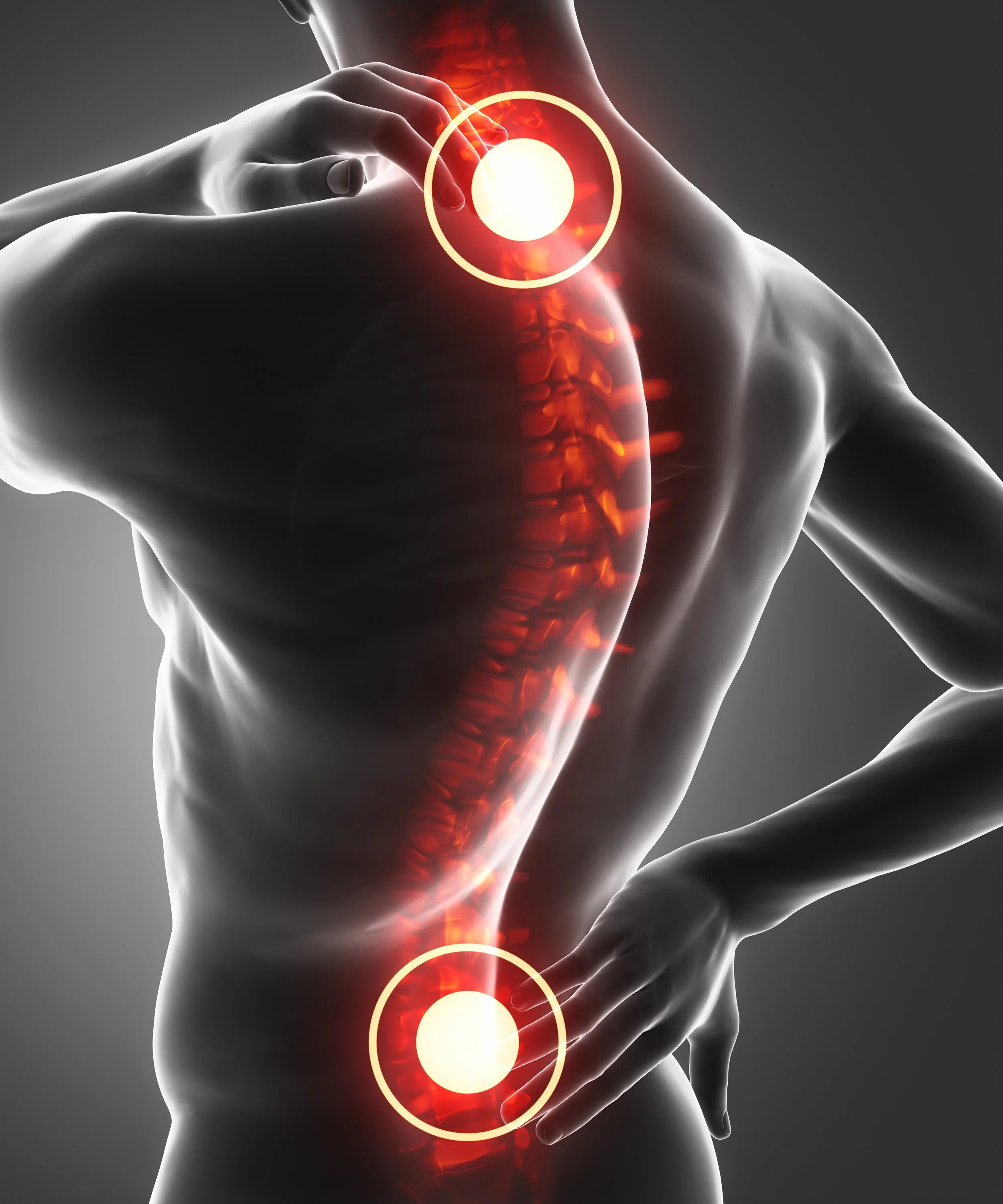 Dragon Tendon Therapy – Meridian Balance, Fatigue Relief, and Vitality ...