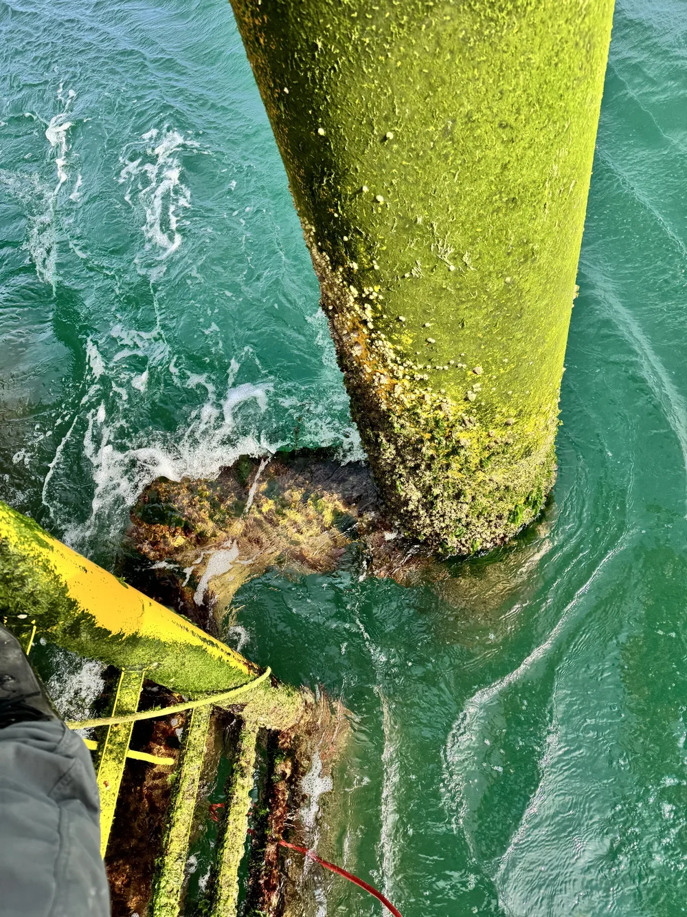 Accomplished global consultancy provider of NACE Level 3 Coating ...