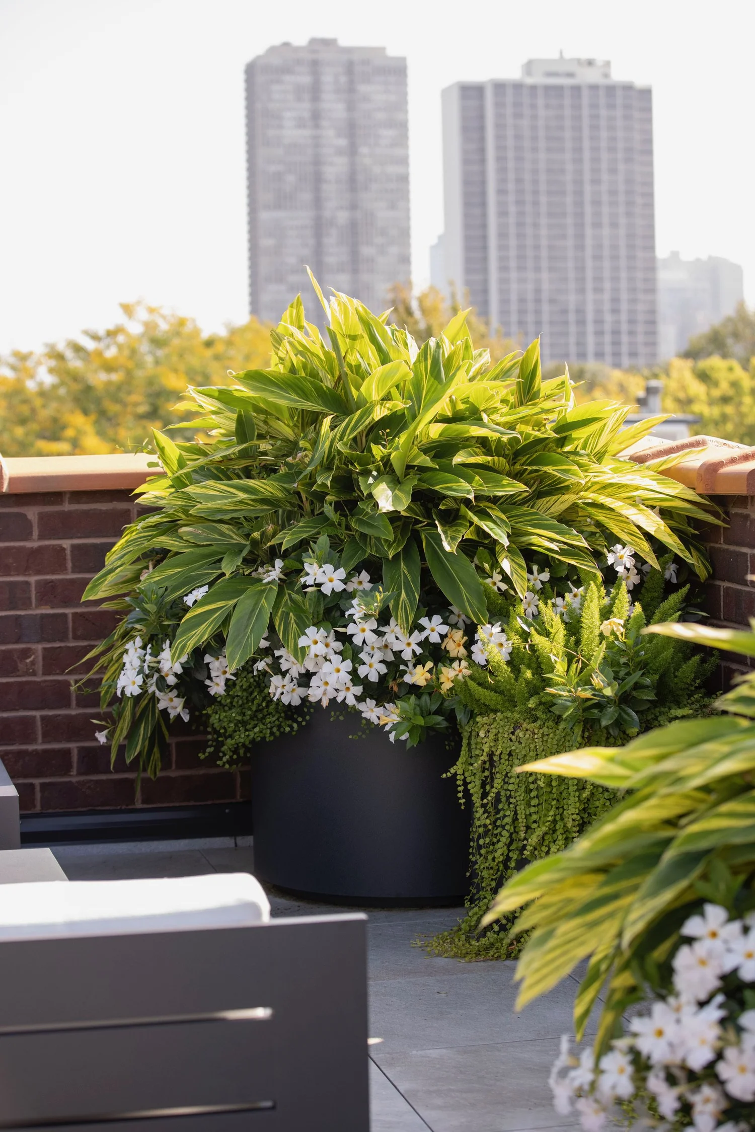 Skyline Terrace — The Outside Design Studio