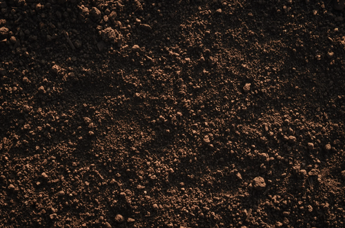 GoodGround