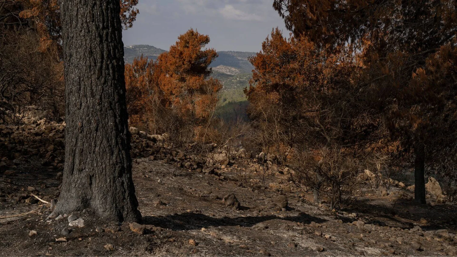 Situation Reports | Canada and US SitReps — Wildfire U