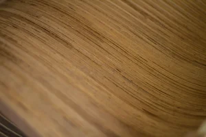 The Diwani Chair — AE Superlab