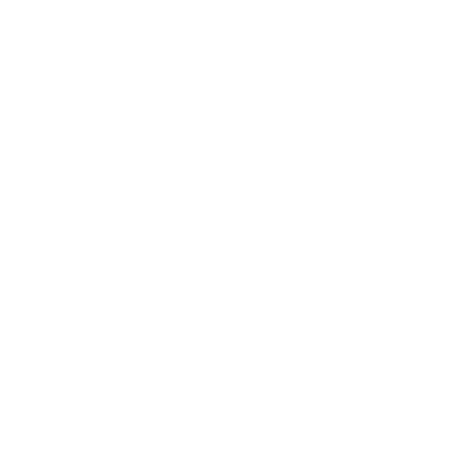 Mass 50501 | The Massachusetts 50501 Movement