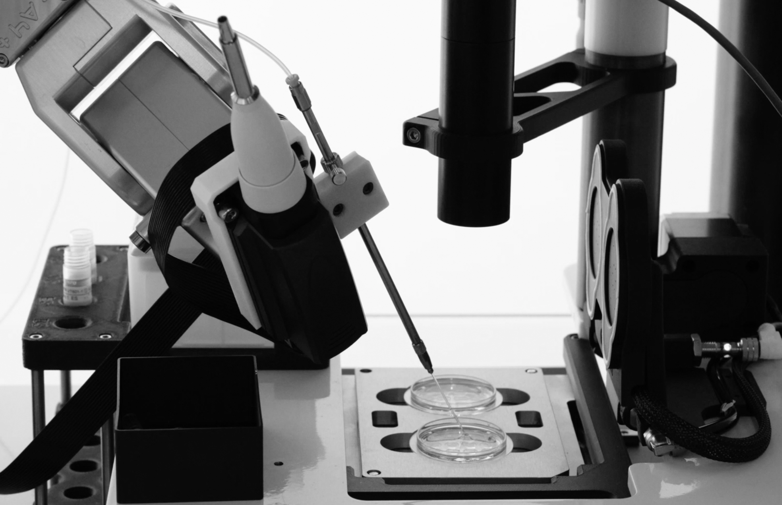 About Conceivable Life Sciences — Conceivable Life Sciences