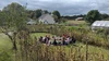 Hansel Hill Farm