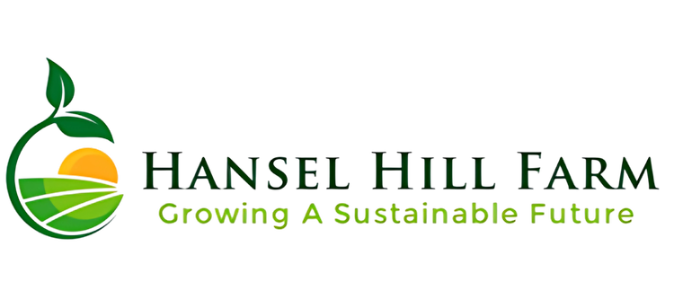 2026 Spring Break Camp After Care — Hansel Hill Farm
