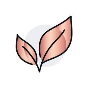 Oxygeneo: Oxygen Facial Technology by Geneo — Geneo