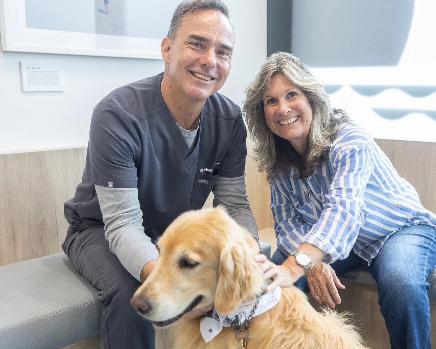 Small Biz Brand: Toronto Veterinary Brand Session — Margot Daley ...
