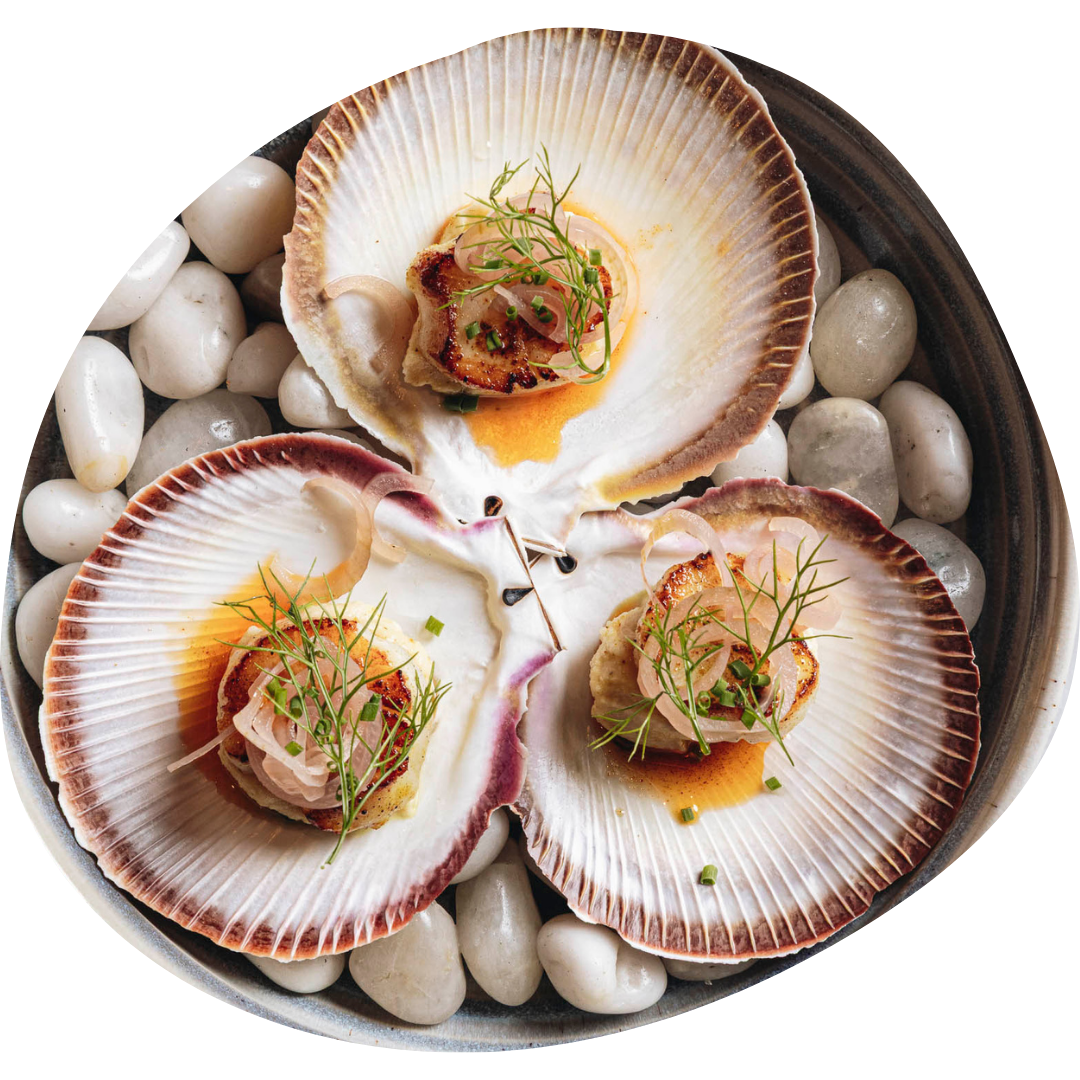 Seafood & Grill Restaurant Terrigal | Coral