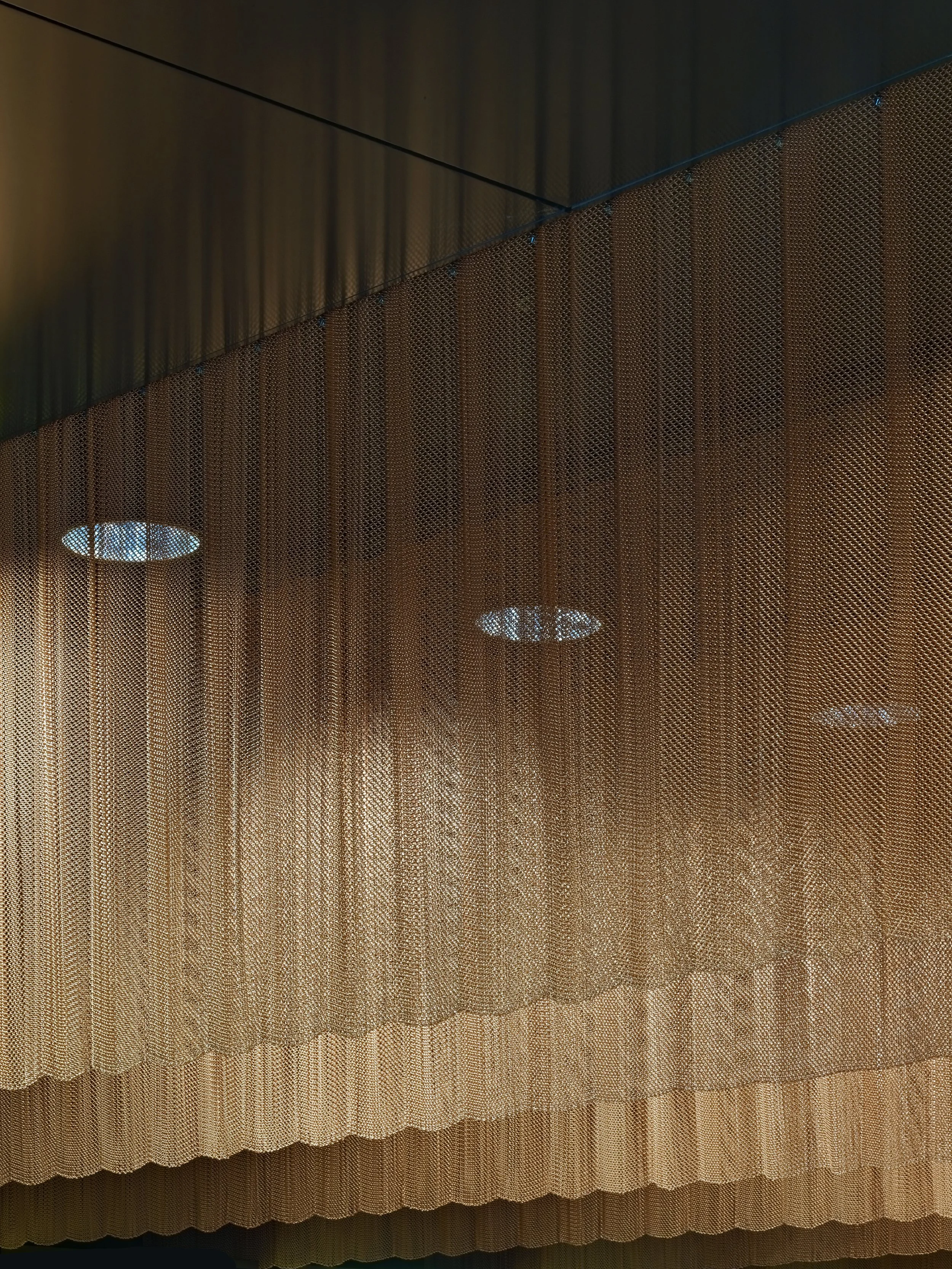 BFI Reuben Library | Discover and Engage Today — Coffey | Architects