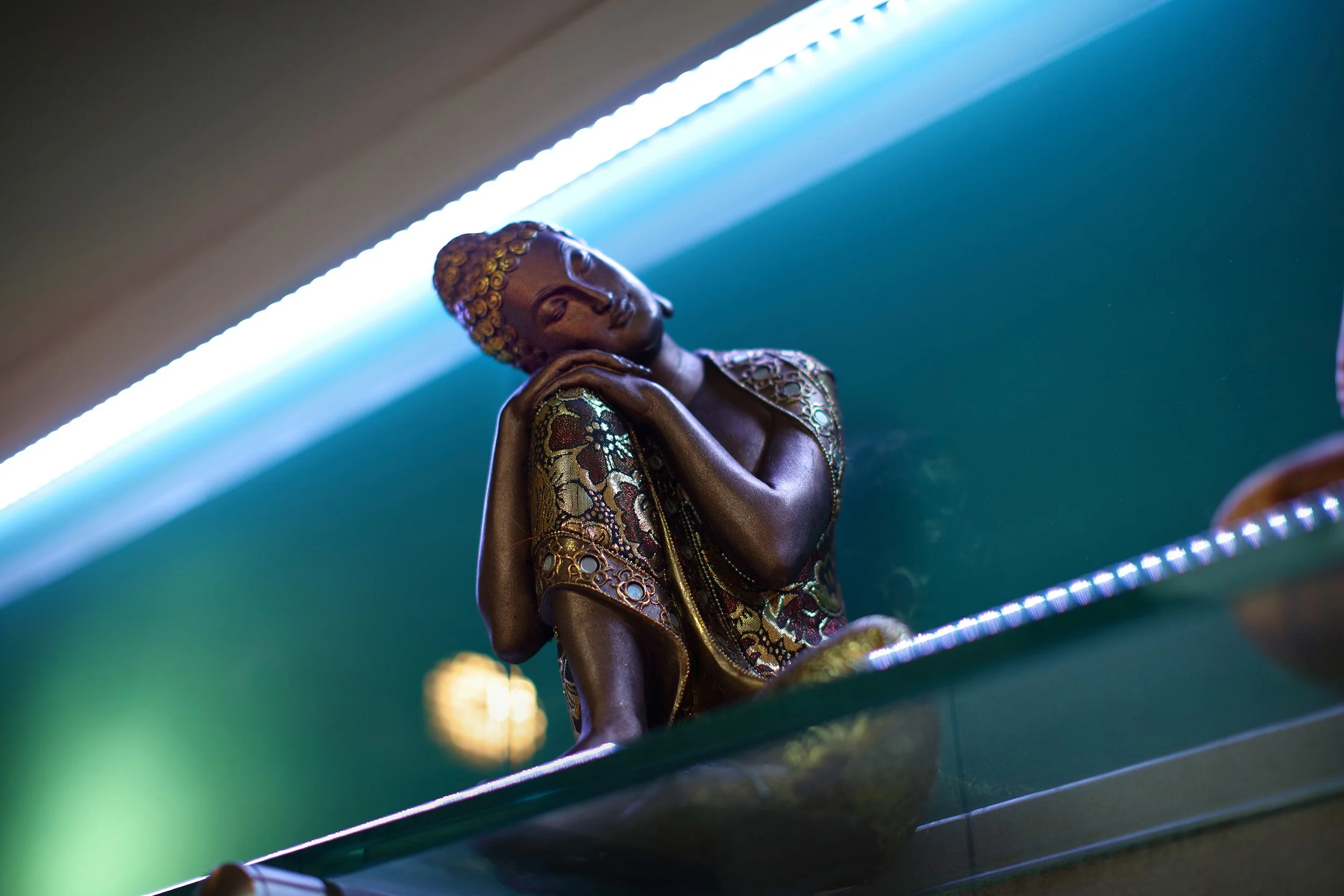 The Pepper Tree Clapham London