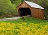 New England Fall Foliage: Best Time to Visit for Stunning Views — New ...