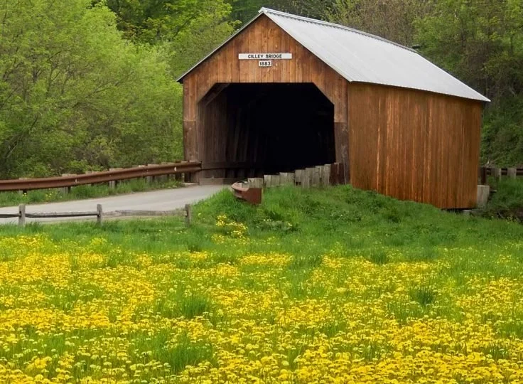 New England Fall Foliage: Best Time to Visit for Stunning Views — New ...