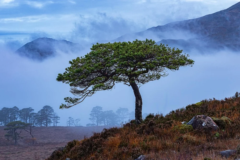 A beautiful misty Loch Maree viewpoint in Torridon Scotland