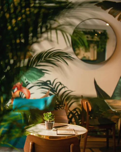 Locations — WOLFOX COFFEE