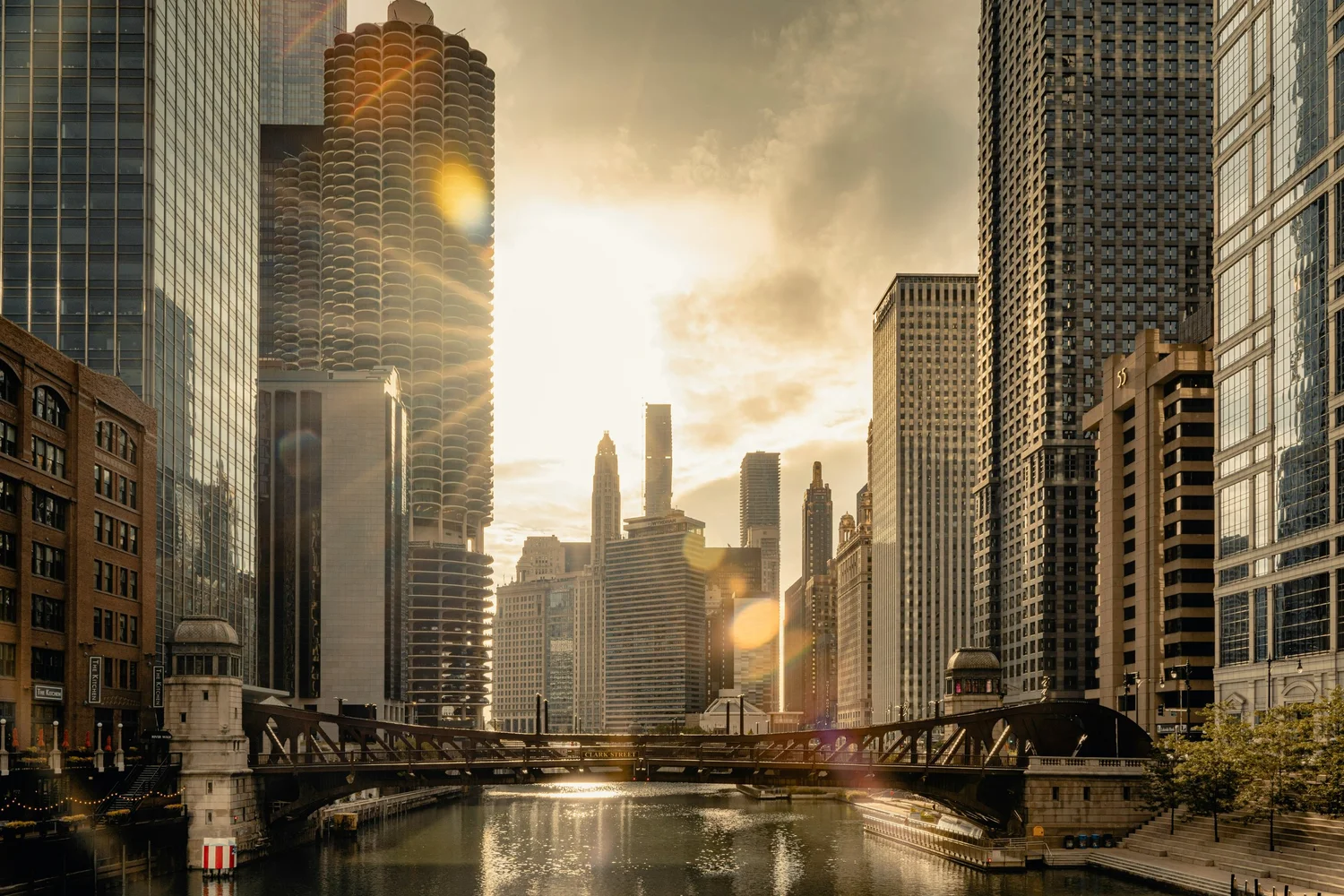 Investment Focus | Accelerate Your Growth — Conifer Capital Partners