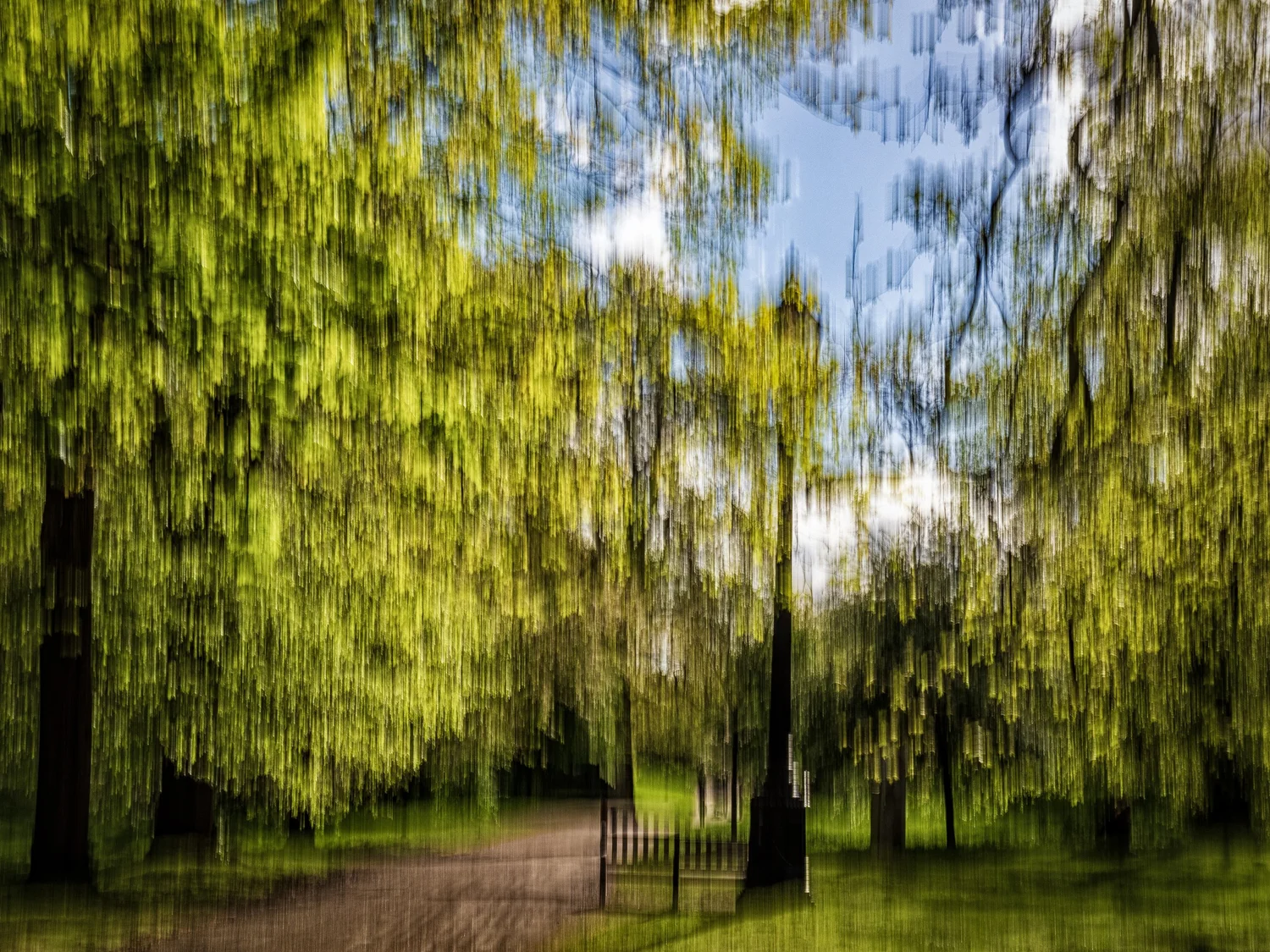 Lonely Together – Abstract ICM Print of a London Park Scene — Antonina ...