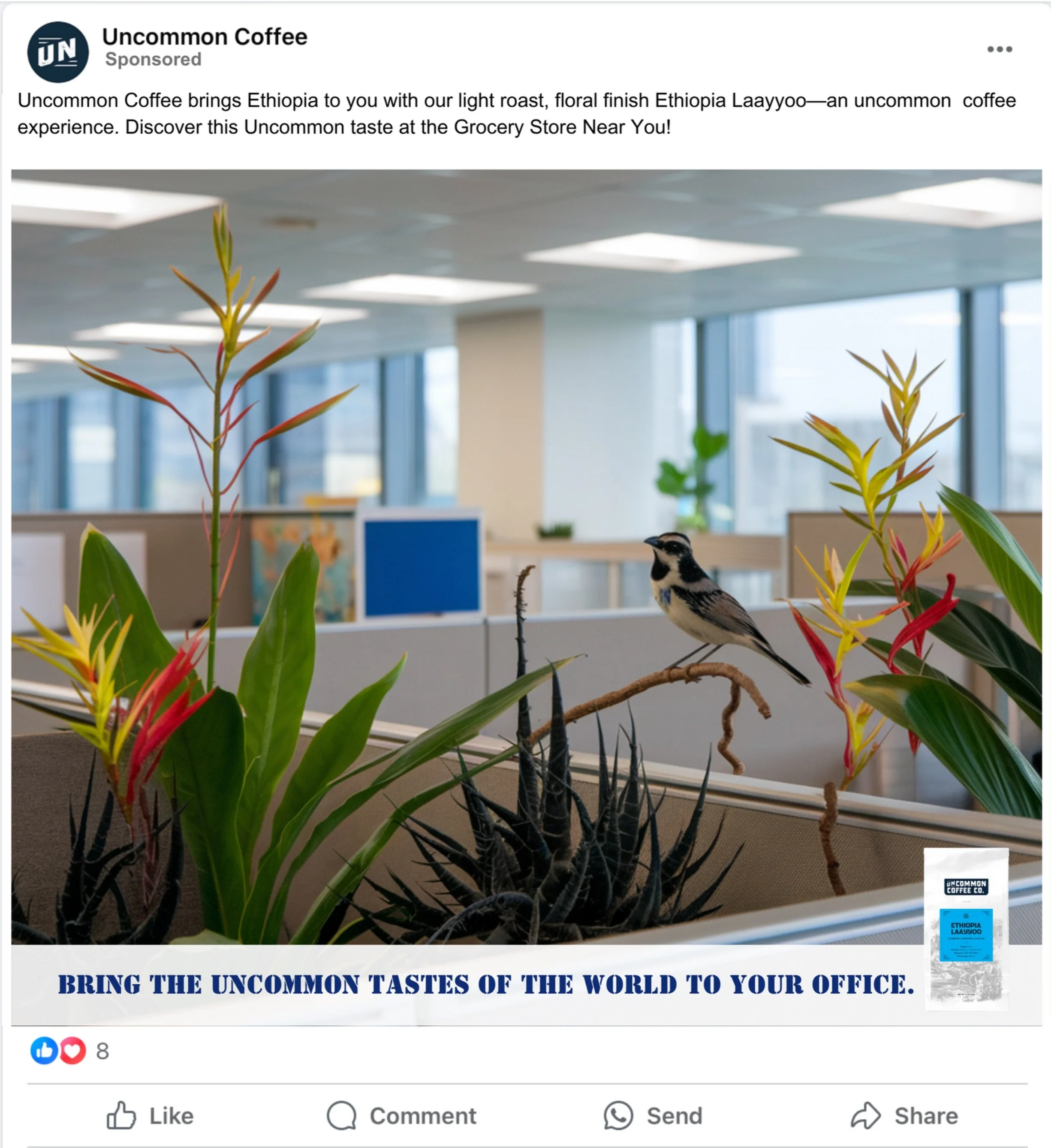 Uncommon Coffee — jessgonzalezcreative.com