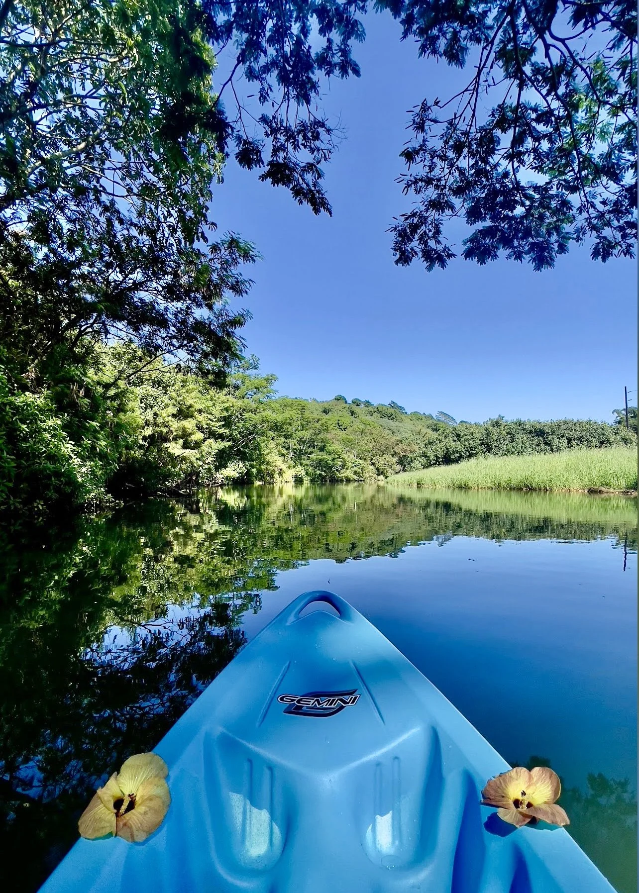 Kayaking in Kauai