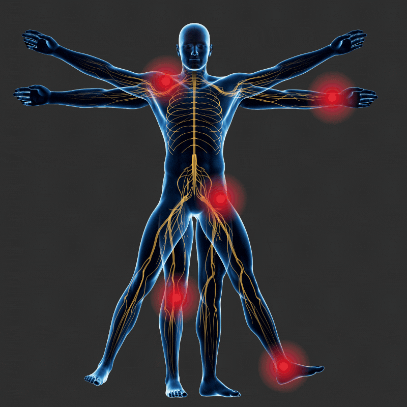 Get Your Personalized Body Map — Richard Nahas MD