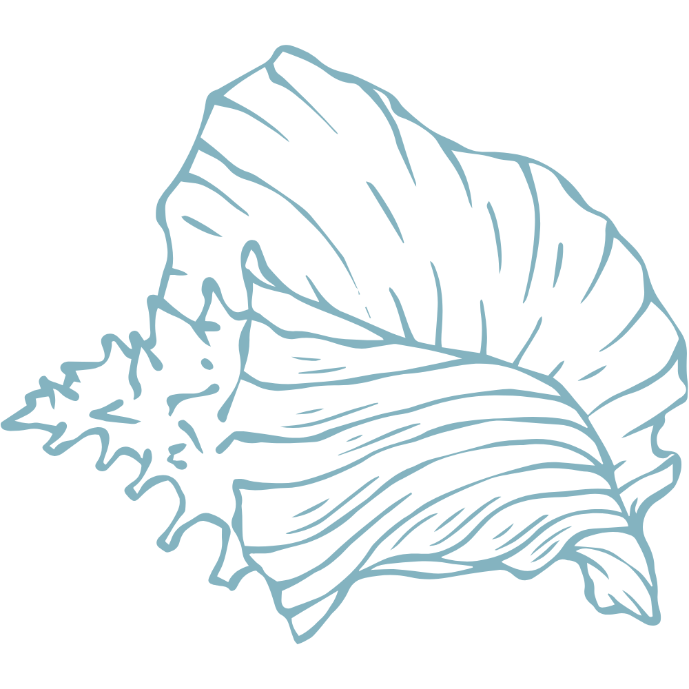 The Fat Snook- Fresh Seafood & Fine Dining in Cocoa Beach | The Fat Snook