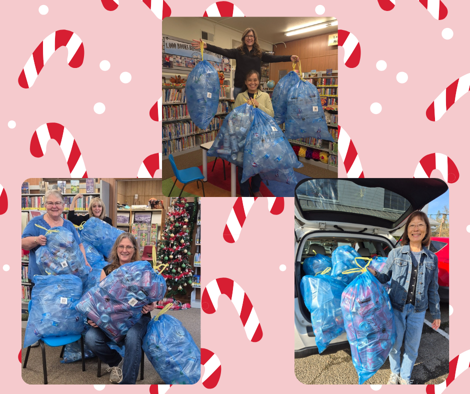 FAQs 1 — Canyonville Library