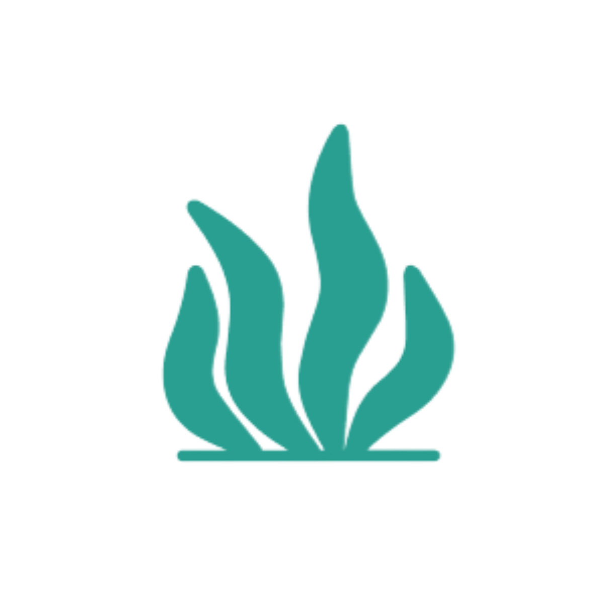 Cascadia Nature-based Solutions — Cascadia Seaweed