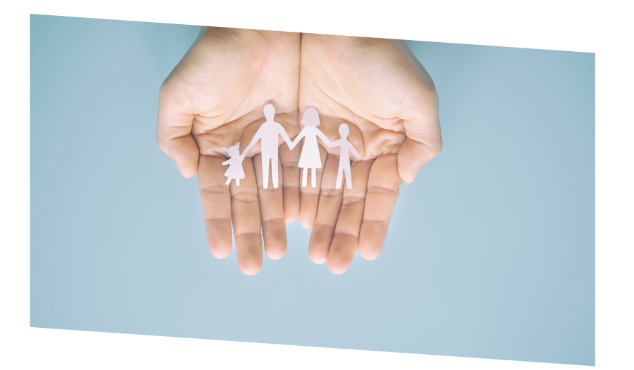 Reports & Case Studies — Safe & Together Institute