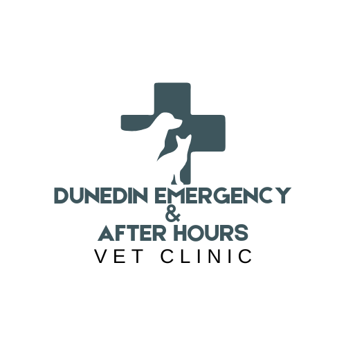 Dunedin Emergency & After-Hours Vet Clinic | Companion Animal Care