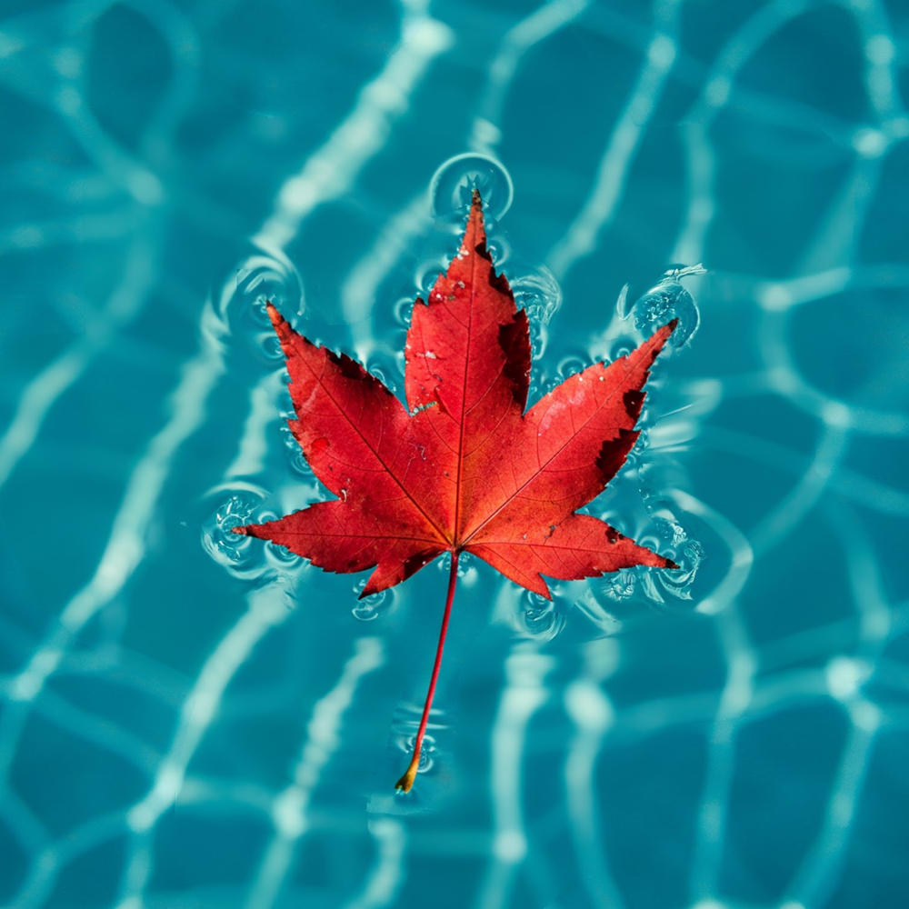 H2O Spas | Canadian Inspired Hot Tubs — Pleasure Pools Plus - Kamloops ...