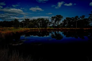 Detailed Site Investigation — Confluence Environmental