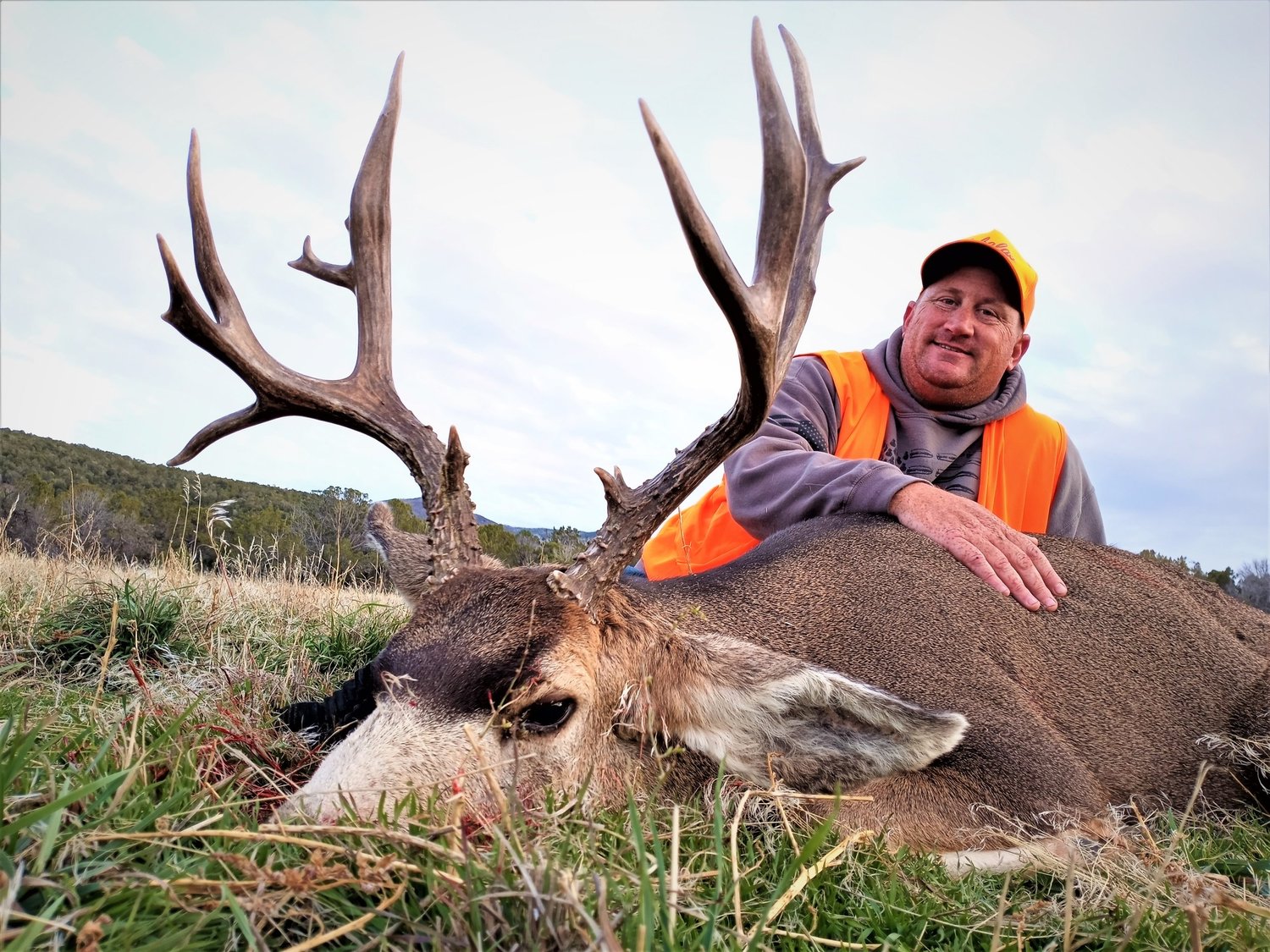 Colorado Unit 40 Trophy Mule Deer And Elk Hunts — GuideWest Outfitters