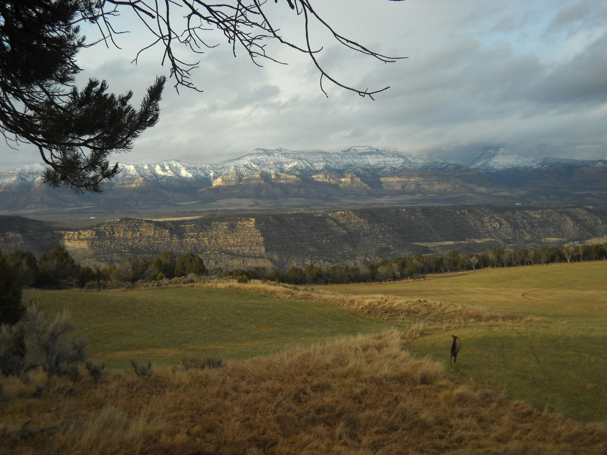 Located in west-central Colorado, just outside of Grand Junction, lies ...