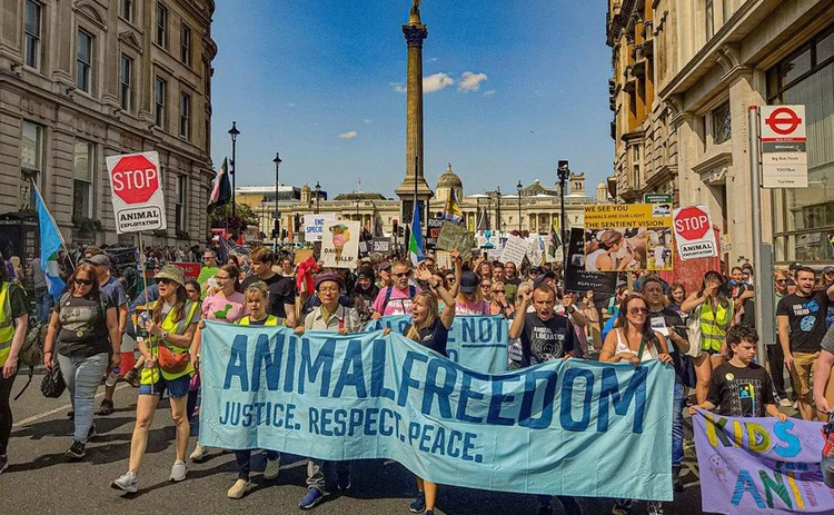 Project Phoenix | Join the Animal Freedom Movement
