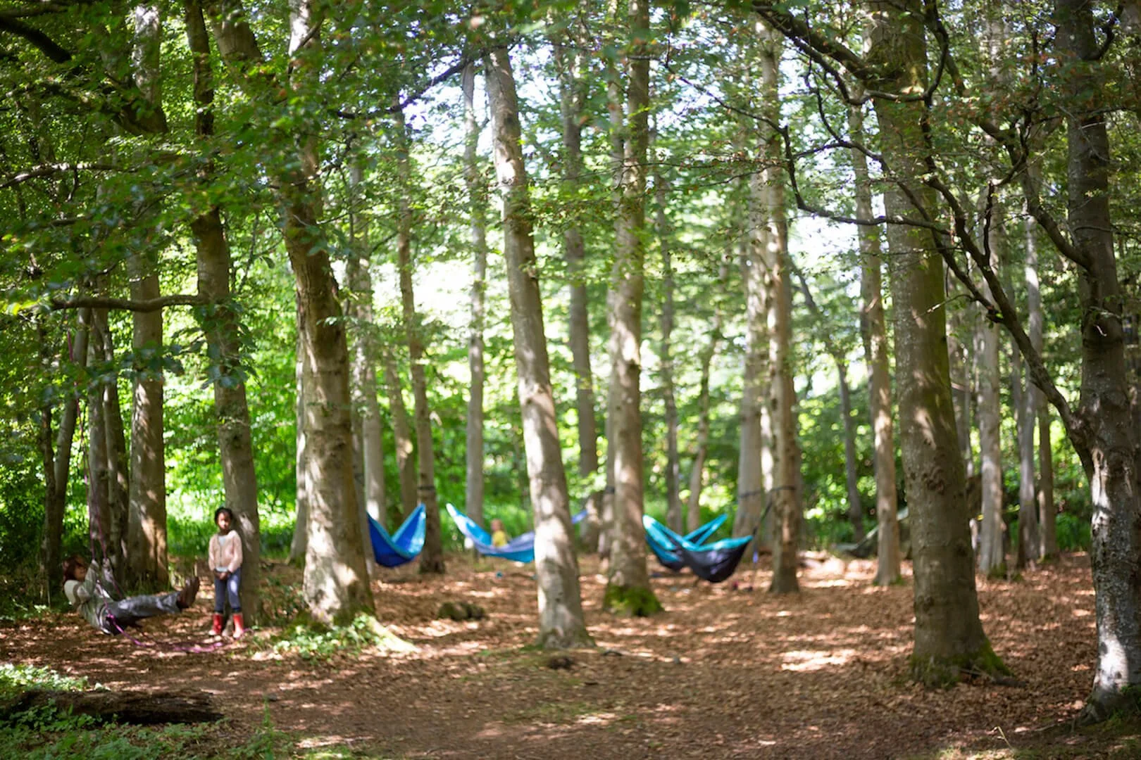Outdoor learning for schools. Forest school sessions in Glasgow's local ...