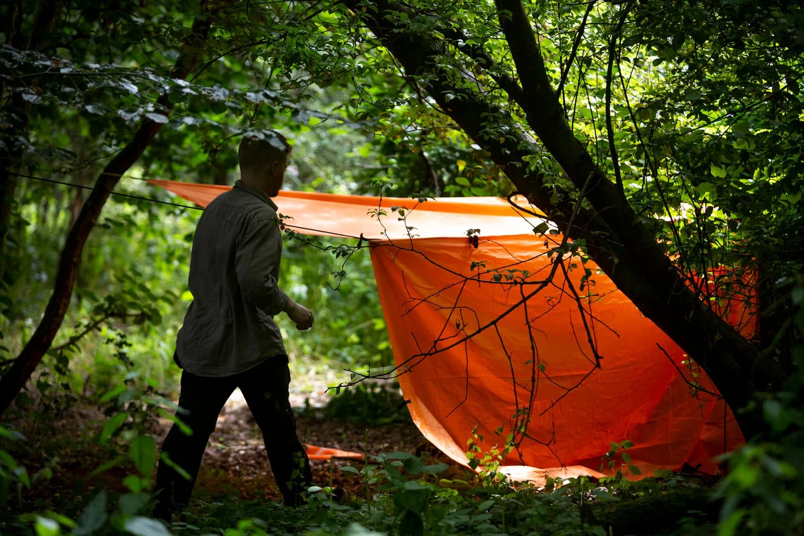 Train to become a forest school leader. — Glasgow Forest School