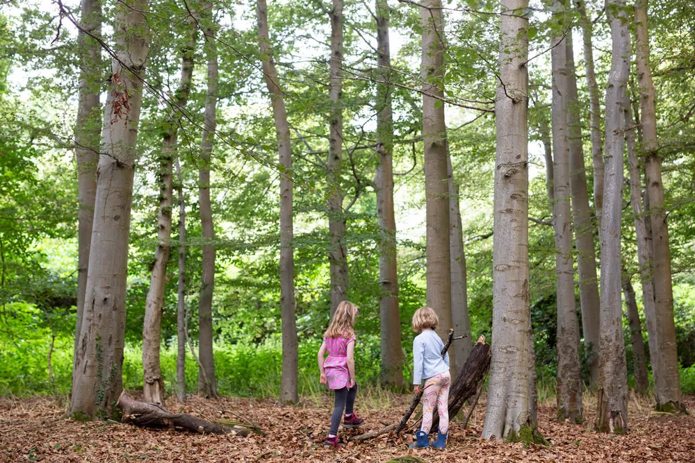 Glasgow Forest School