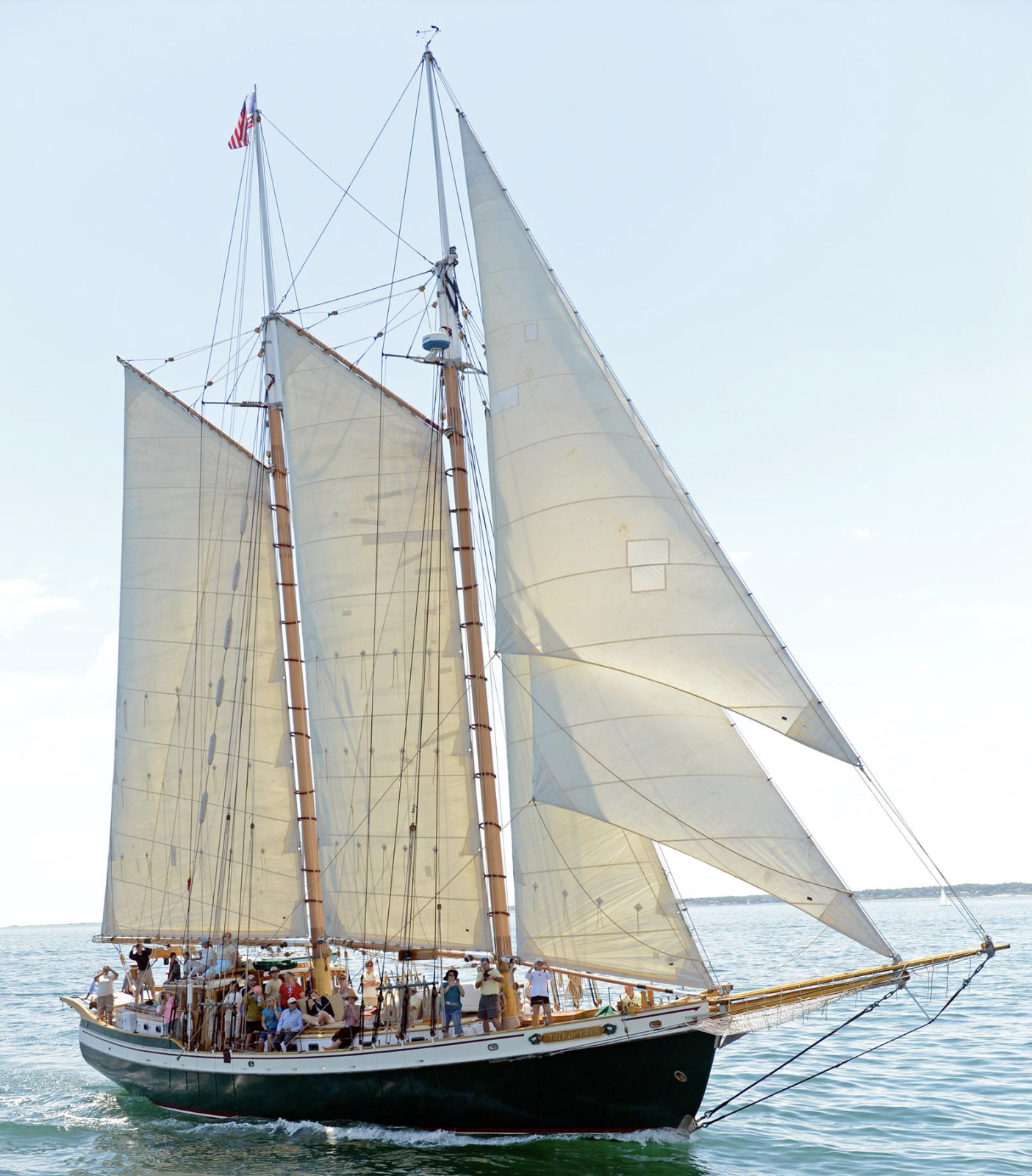 Sailing Yacht Tree of Life