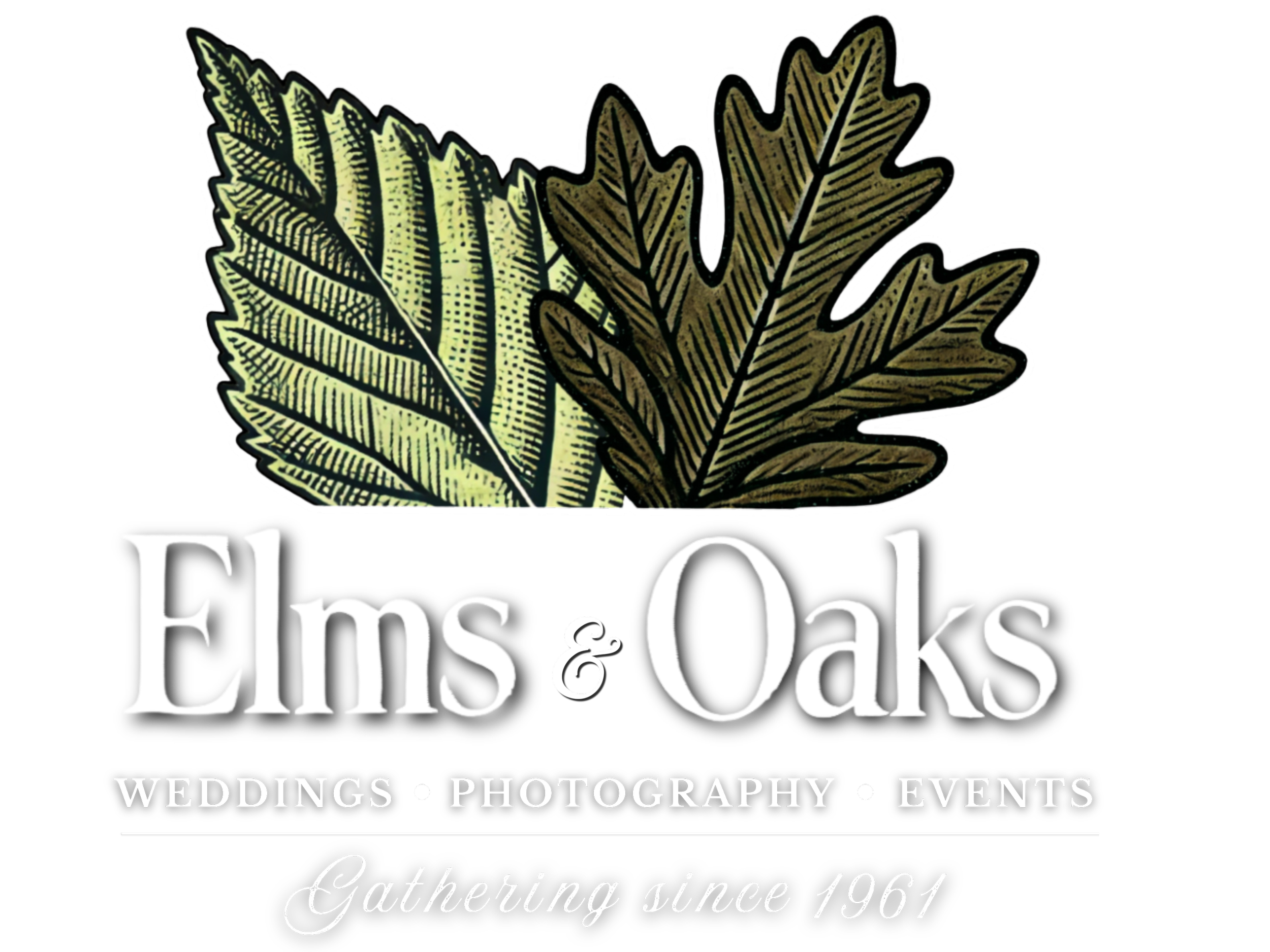 Elms & Oaks | Discover Elegant Events – Book Now