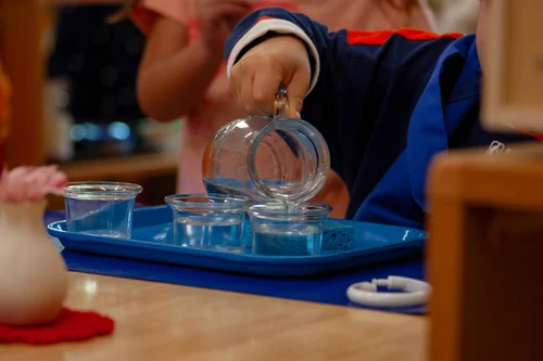 AMI Standards | Enhance Montessori Learning Today — AMI/USA